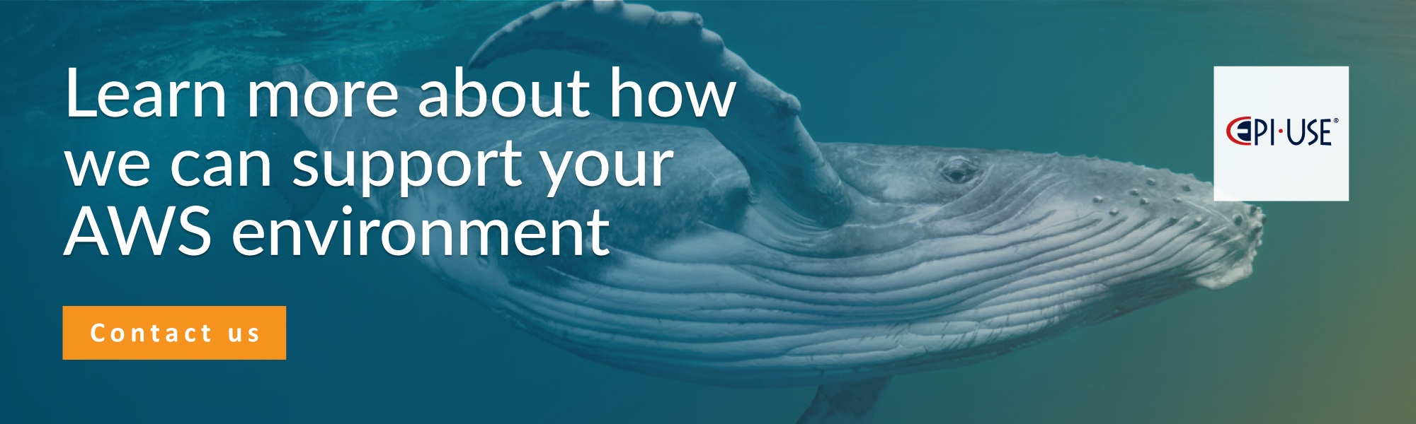 EPI-USE awarded Managed Service Provider (MSP) competency | EPI-USE Services for AWS